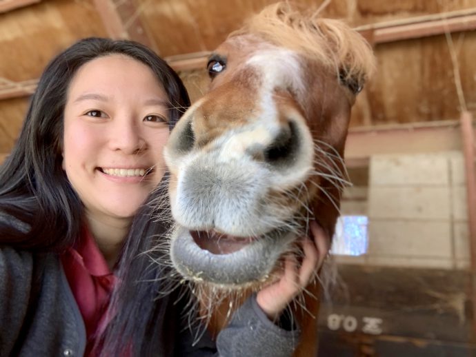 CSOラーニング2020が始まりました！ | JEEF 公益社団法人日本環境教育フォーラム